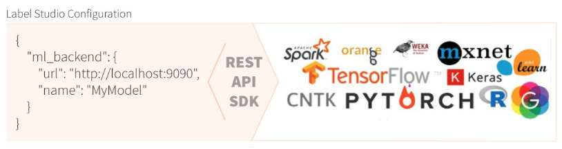 LabelStudio